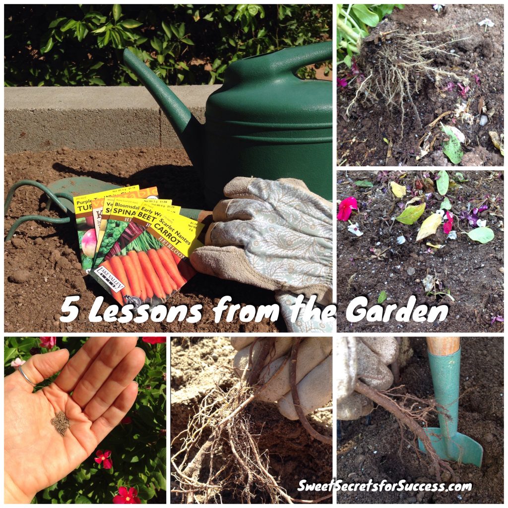 5 Lessons from the Garden - Part 1
